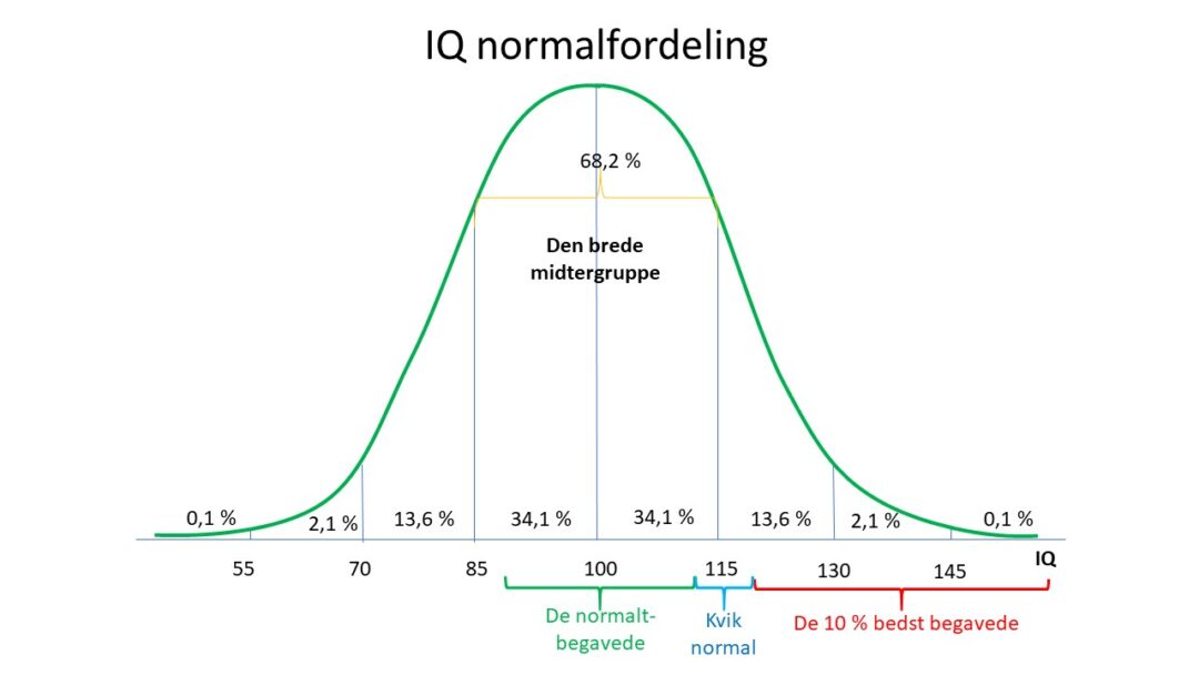 4 forskelle mellem at have høj eller normal IQ - Belastende Begavet